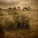 Consejos para usar Sumial efectivamente antes de un examen